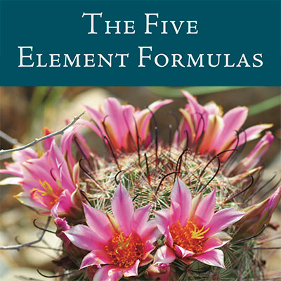 Courses – Desert Alchemy