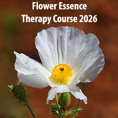 Desert Alchemy – Desert Alchemy