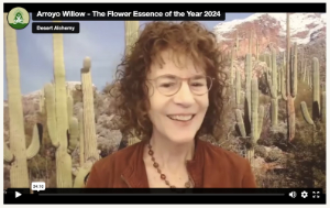 Desert Alchemy – Desert Alchemy